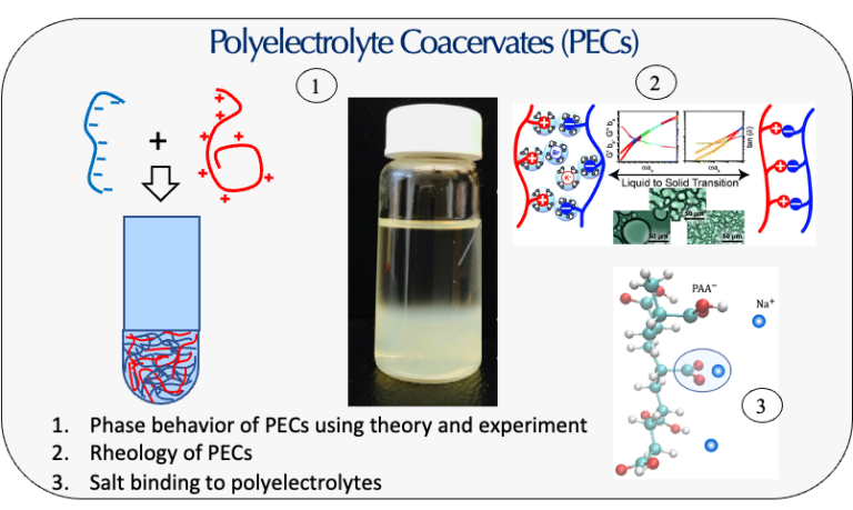 Polyelectrolytes – Larson Lab